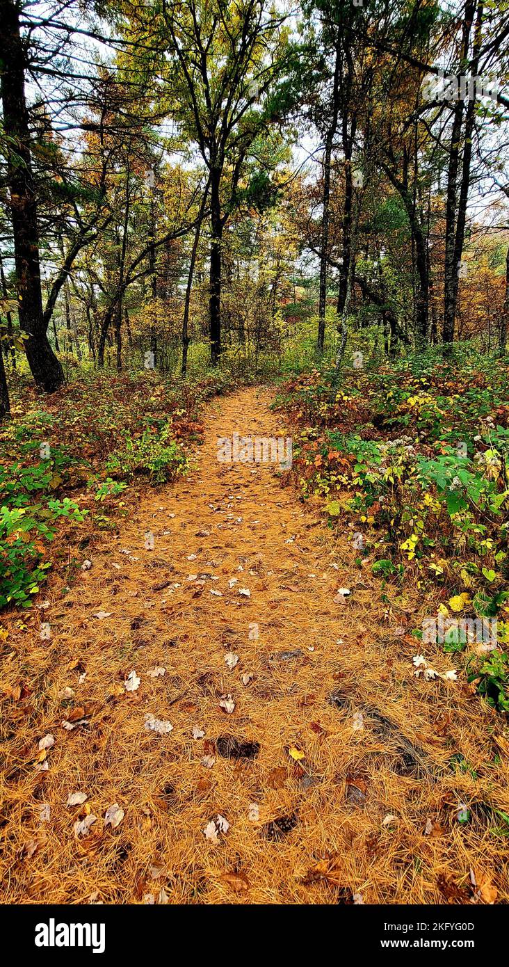 An autumn scene of the Fort McCoy Pine View Recreation Area is shown ...
