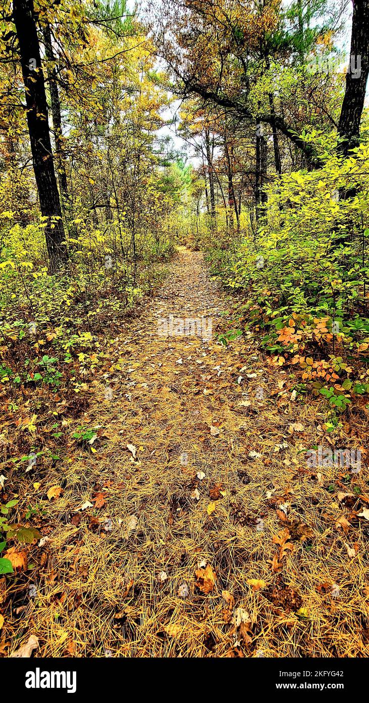 An autumn scene of the Fort McCoy Pine View Recreation Area is shown ...