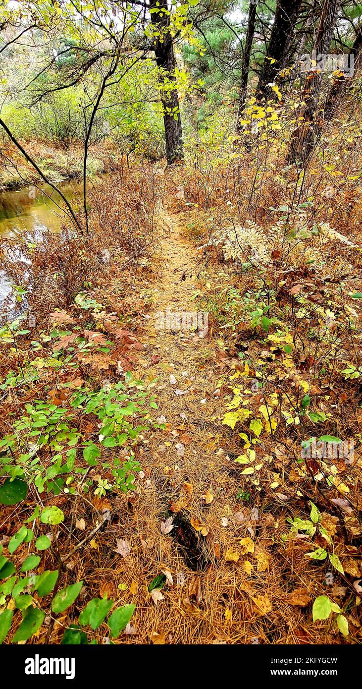An autumn scene of the Fort McCoy Pine View Recreation Area is shown ...
