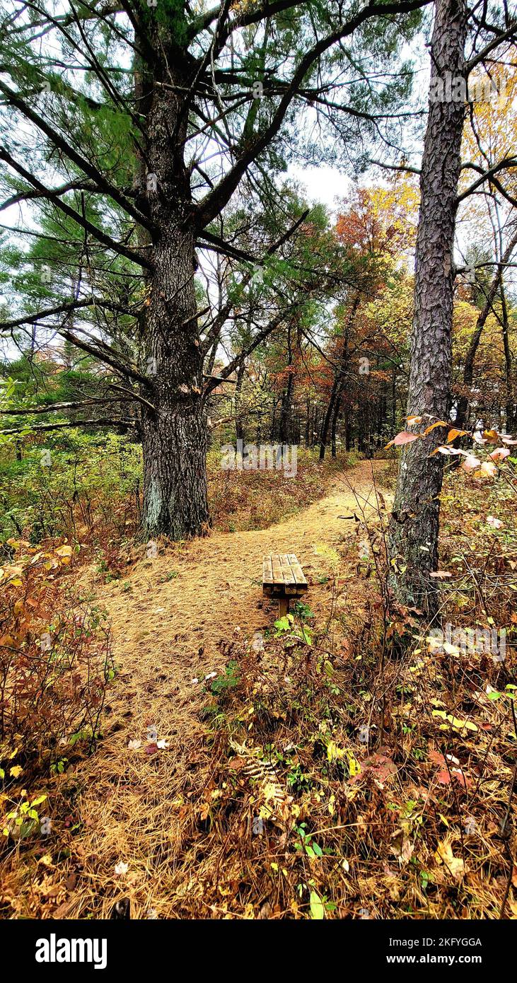 An autumn scene of the Fort McCoy Pine View Recreation Area is shown ...