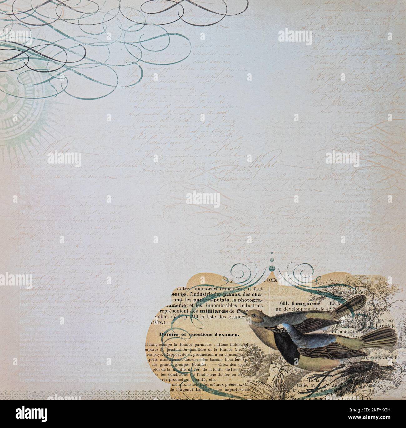 Simple background design with bird theme illustration Stock Photo - Alamy