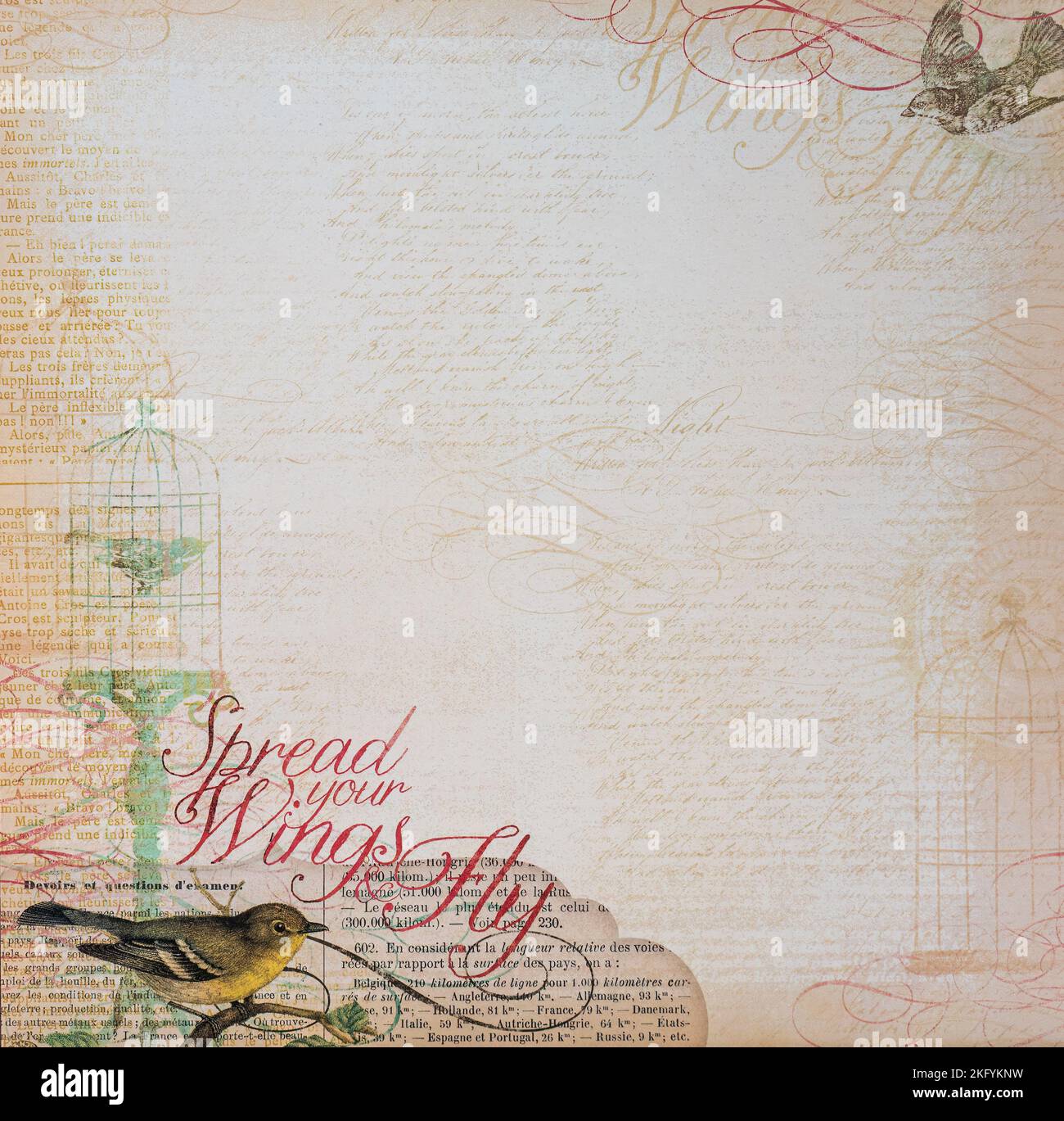 Simple background design with bird theme illustration Stock Photo - Alamy