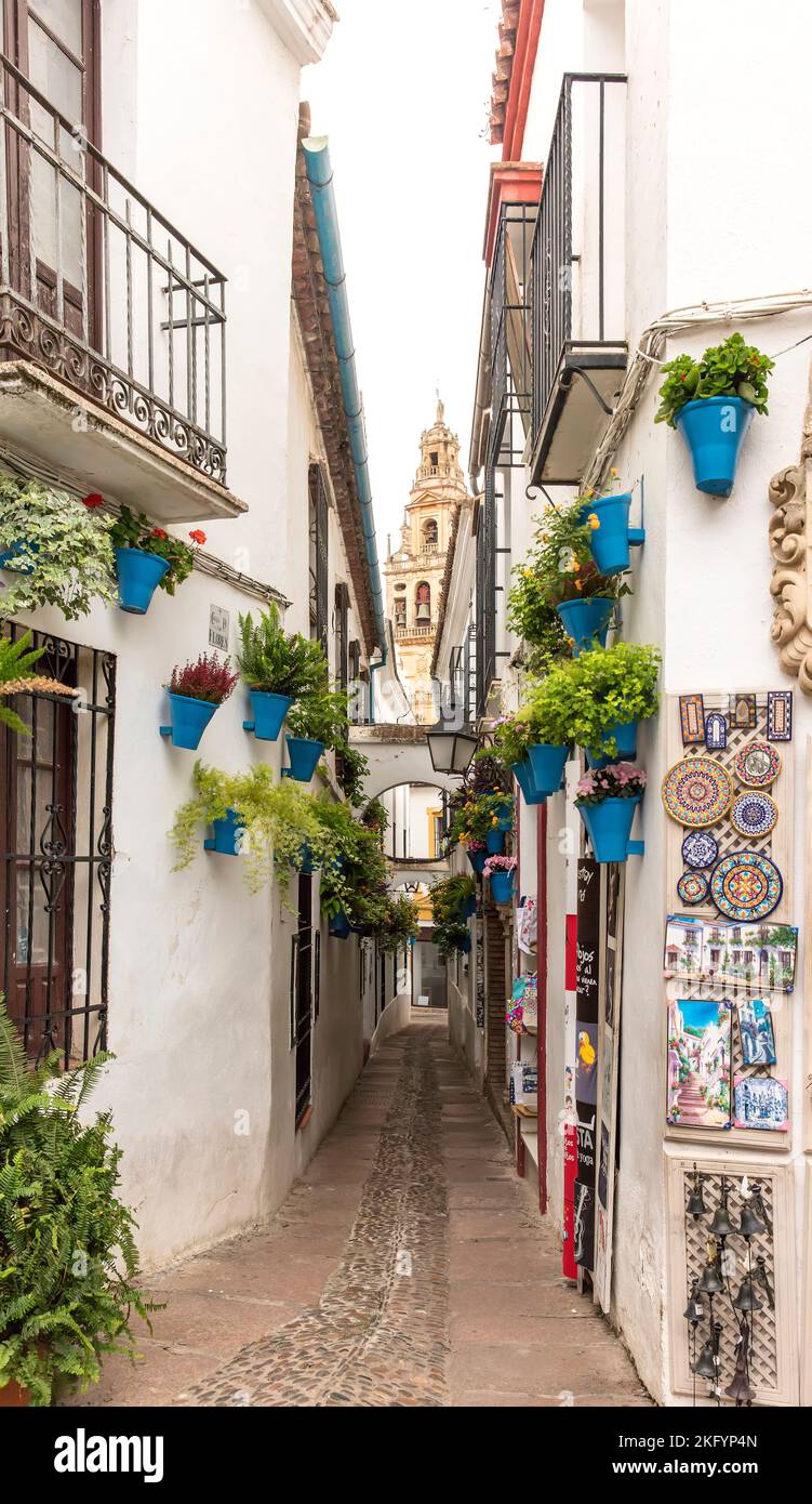 Narrow alley in Cordoba, Andalusia, Spain Stock Photo - Alamy
