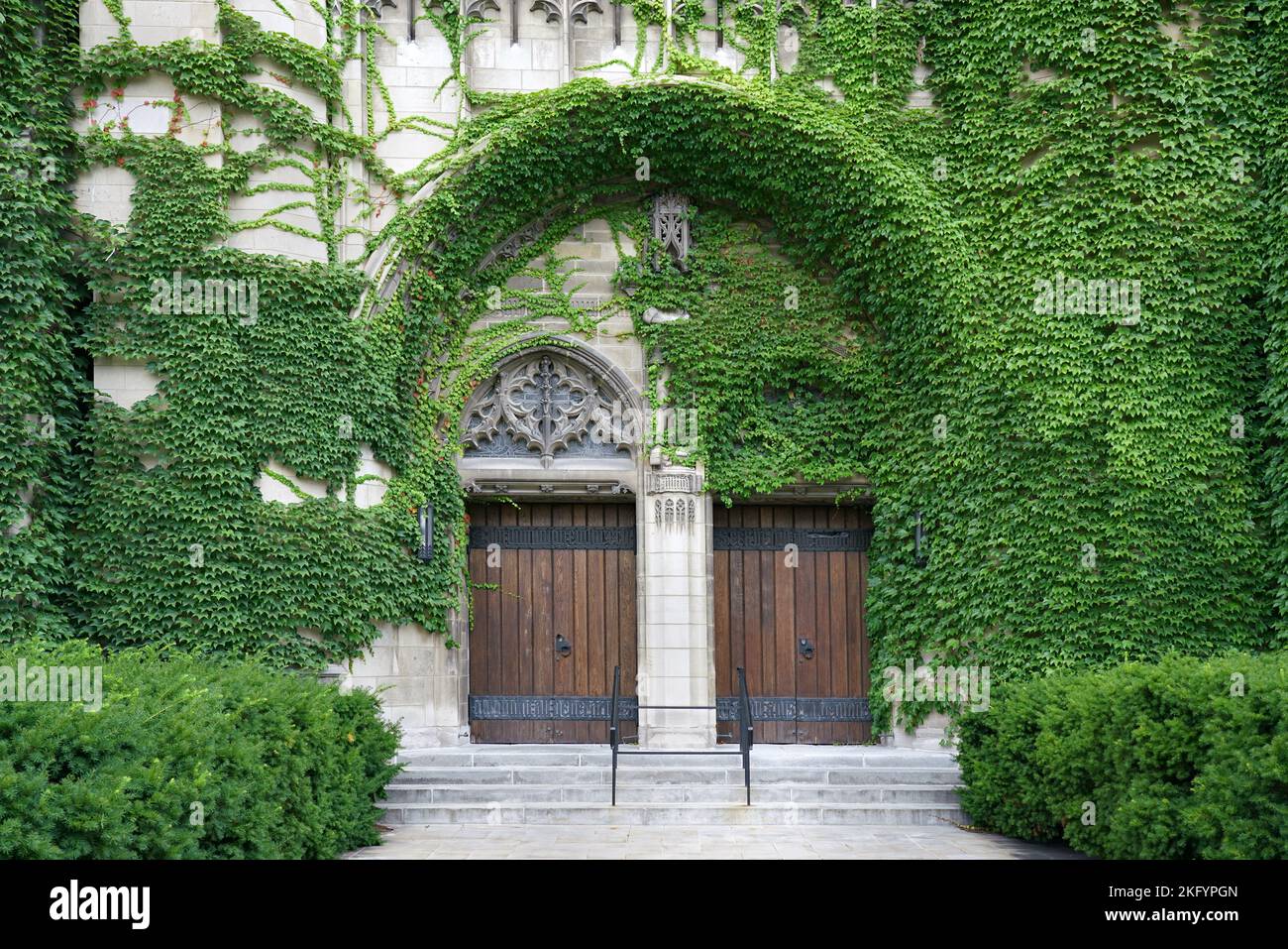 Double front doors of gothic style building entrance, covered in ivy ...