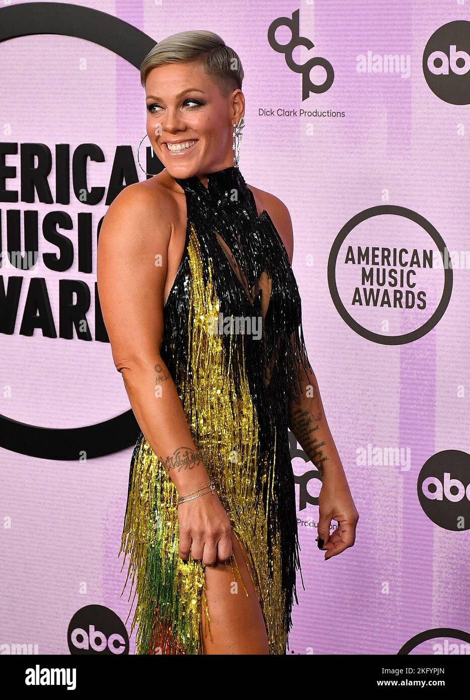 Los Angeles, USA. 20th Nov, 2022. PINK attends the 2022 American Music ...
