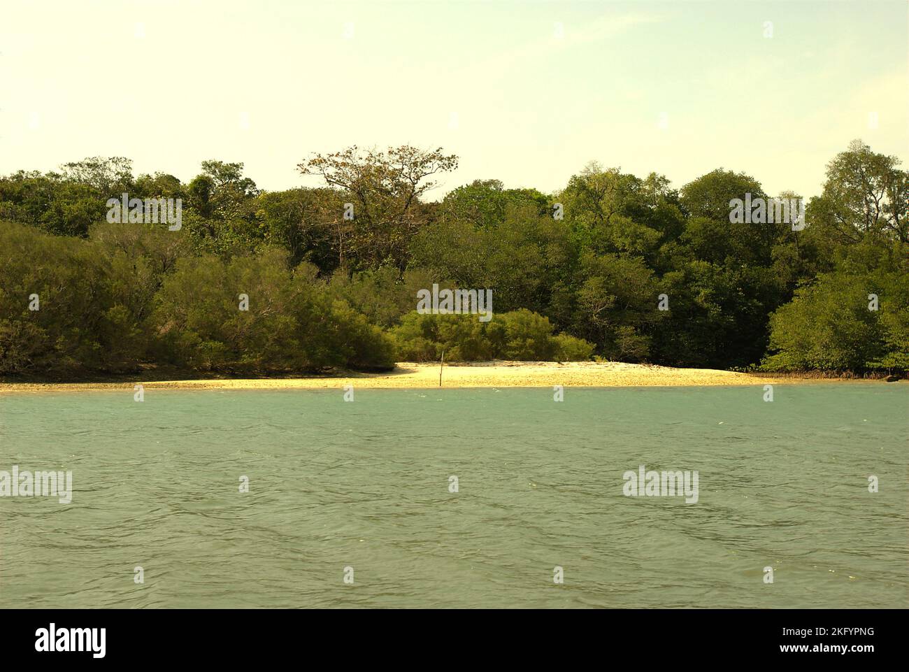 Sandy beach abrasion hi-res stock photography and images - Alamy