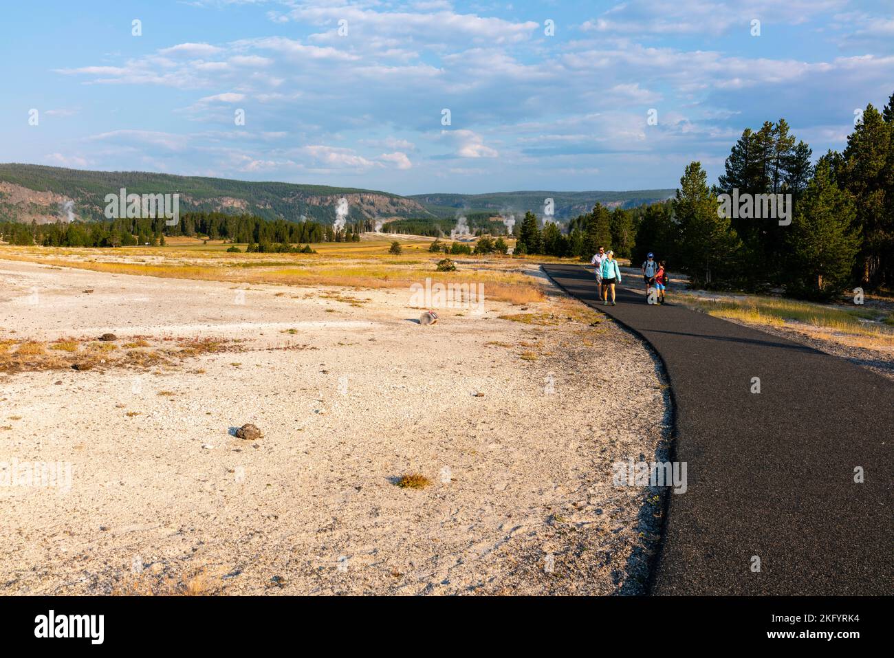 An early morning photograph of Upper Geyser Basin; Yellowstone National ...