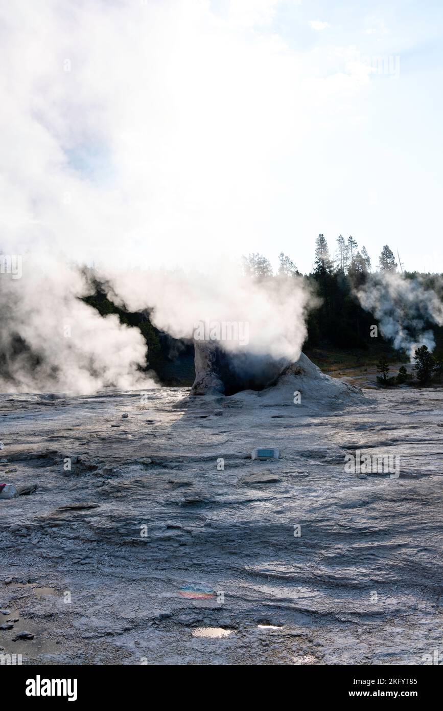 An early morning photograph of Giant Geyser, Upper Geyser Basin ...