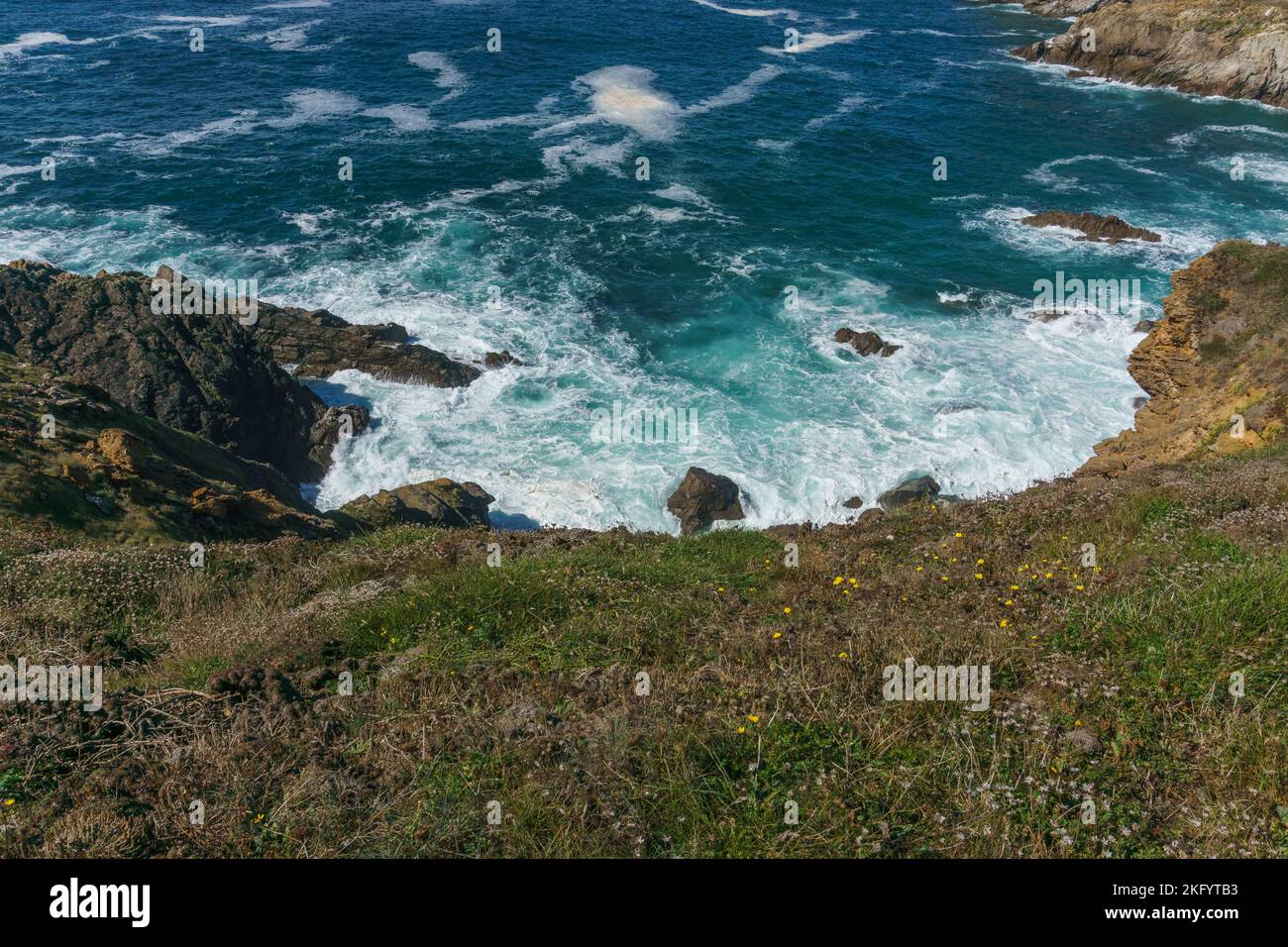 Heather grown coast at Pointe du Van with view at the wild wavy water ...