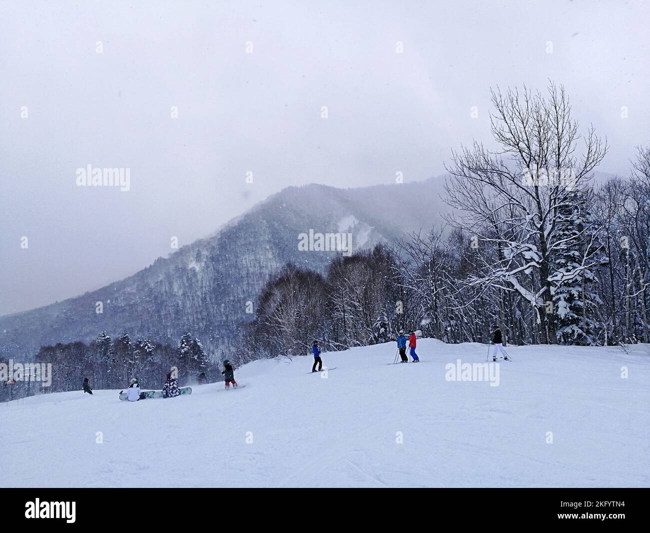 The people skiing in the snowy mountains of Hokkaido, Sapporo Stock ...
