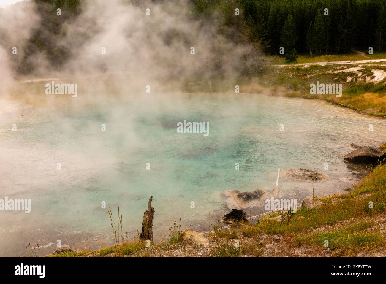 Imperial geyser yellowstone hi-res stock photography and images - Alamy