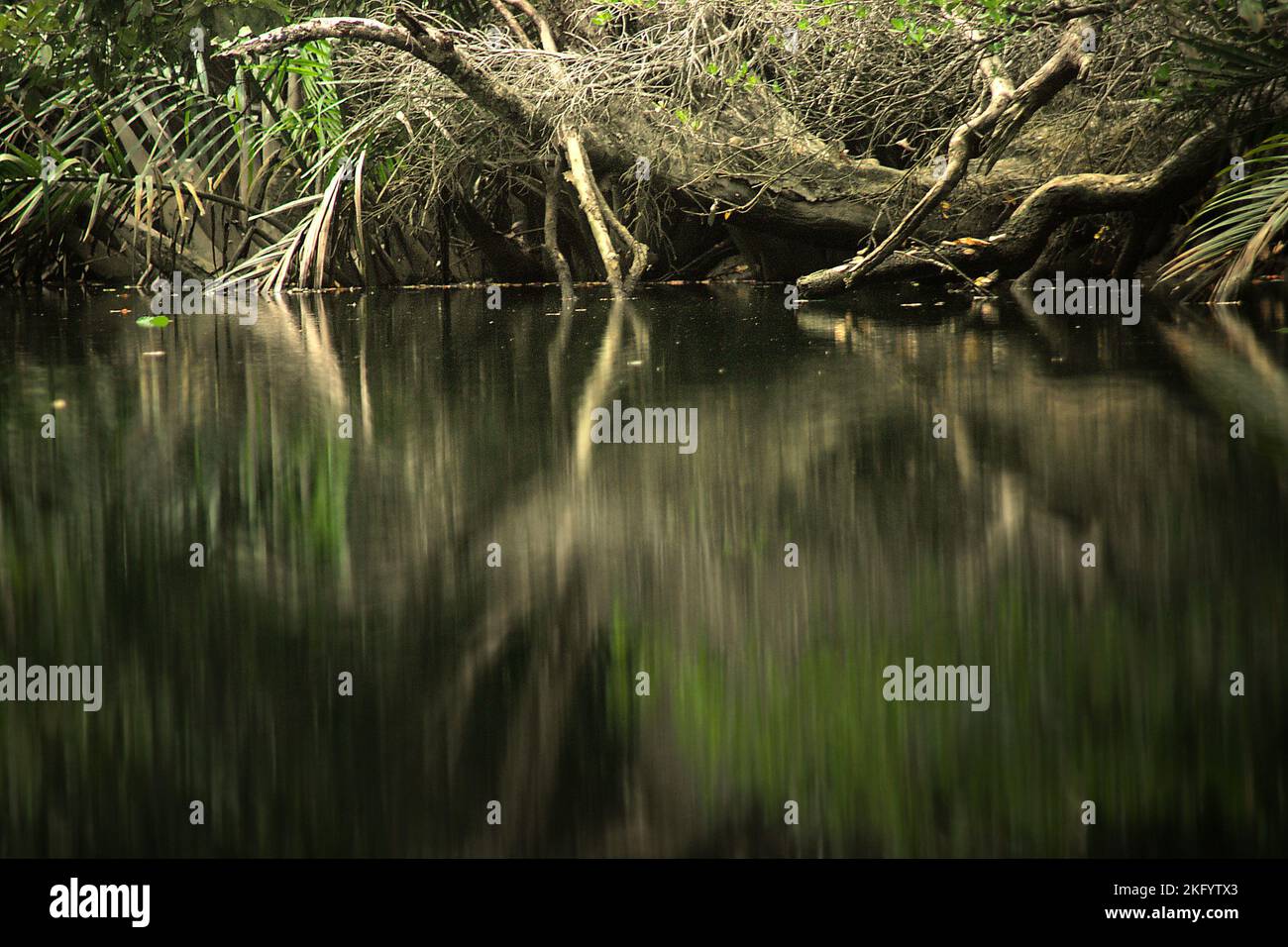 Protected ecology hi-res stock photography and images - Alamy