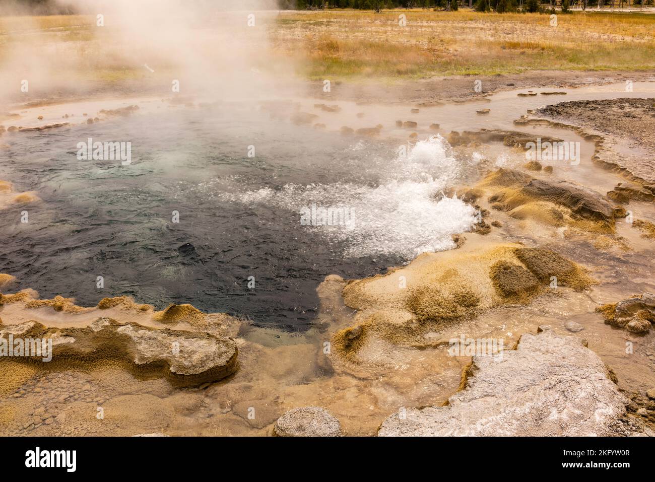 A morning photograph of boiling water at a geothermal feature along the ...