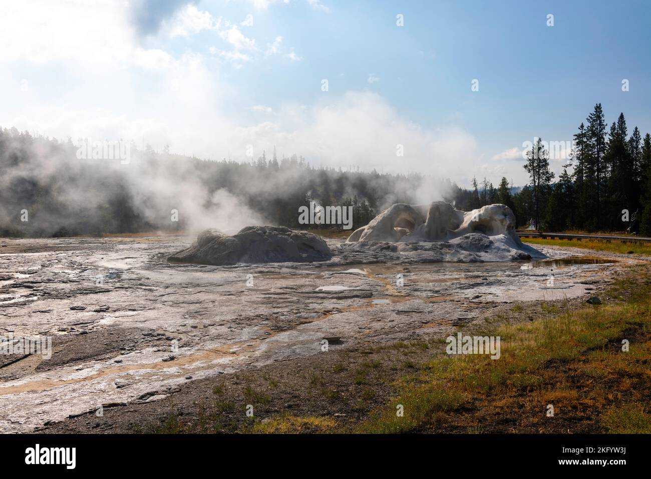 A morning photograph of Grotto Geyser, Upper Geyser Basin; Yellowstone ...
