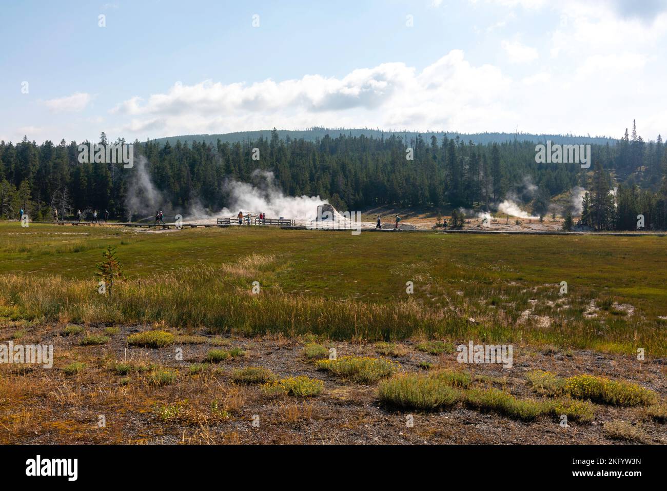 A morning photograph of Mastiff and Giant Geysers, Upper Geyser Basin ...