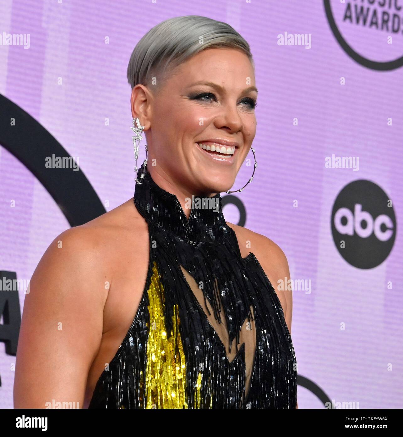 Los Angeles, United States. 20th Nov, 2022. Pink arrives for the 50th ...