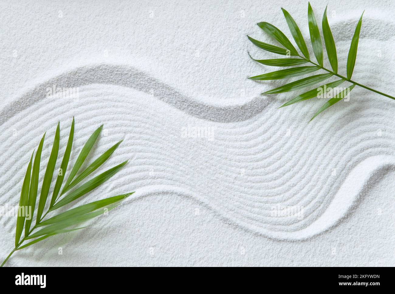 Zen pattern in white sand with palm leaves Stock Photo - Alamy
