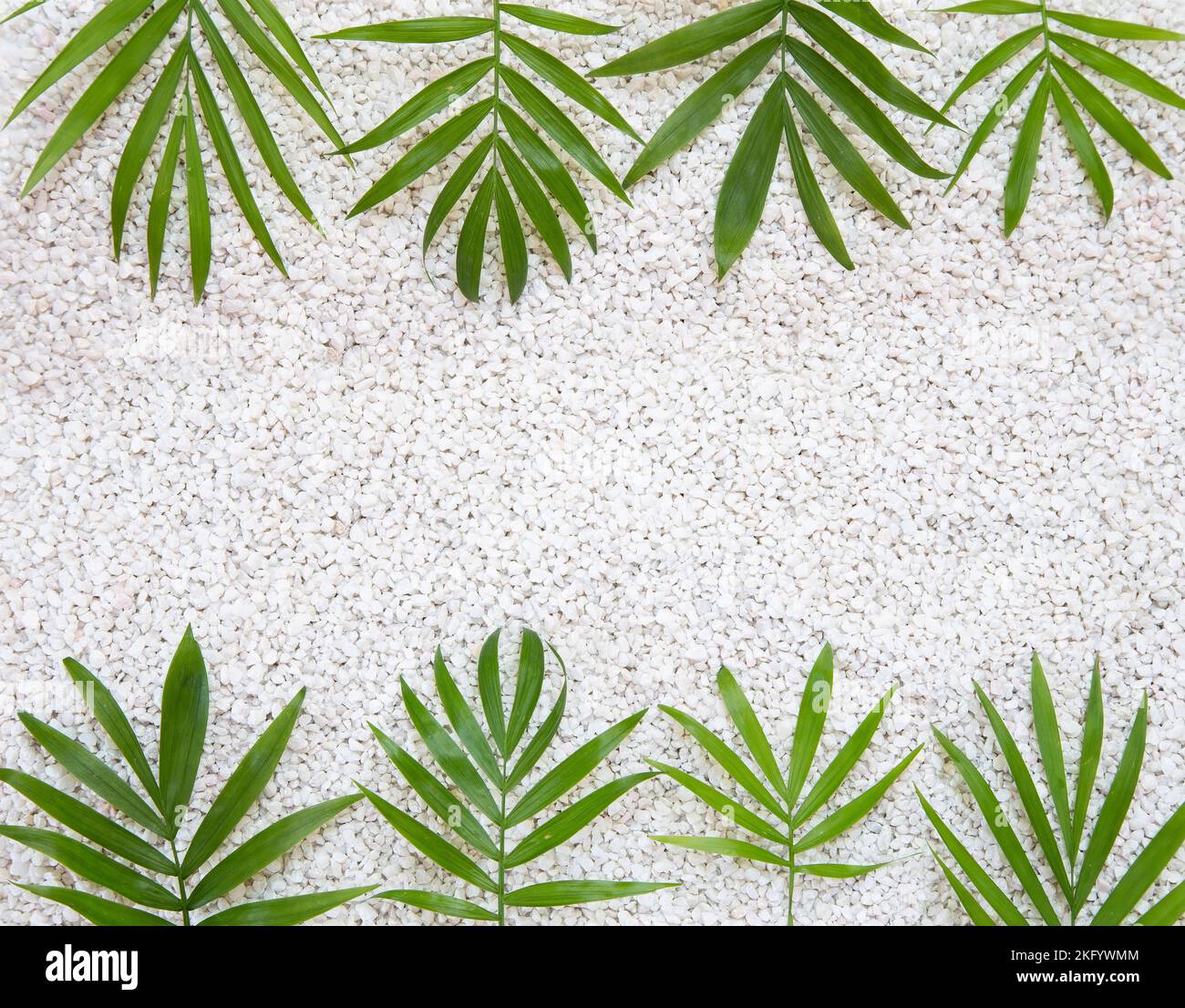 Zen pattern in white sand with palm leaves Stock Photo - Alamy