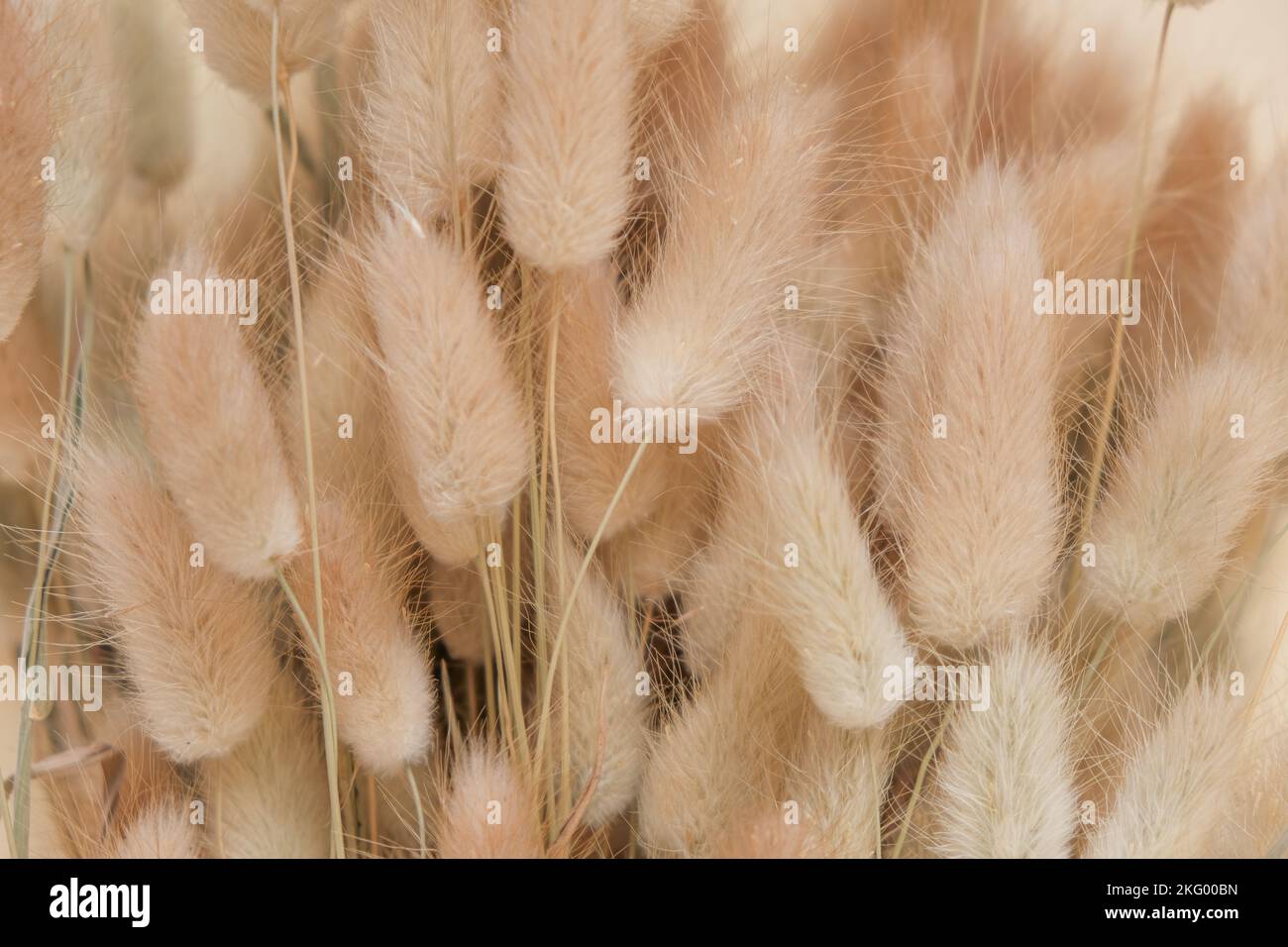 Touchable texture hi-res stock photography and images - Alamy
