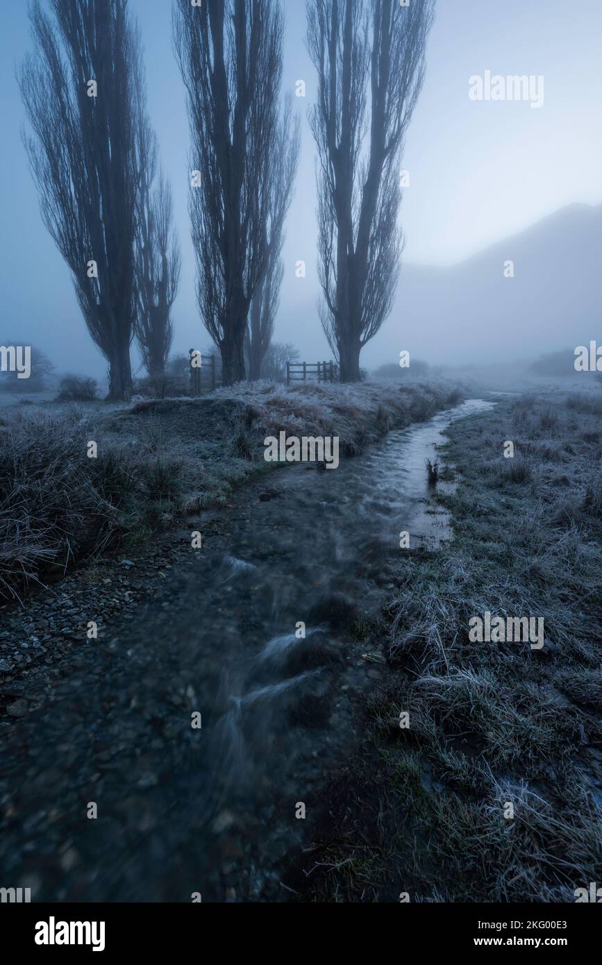A spooky cold and foggy scene of the New Zealand countryside near Moke ...
