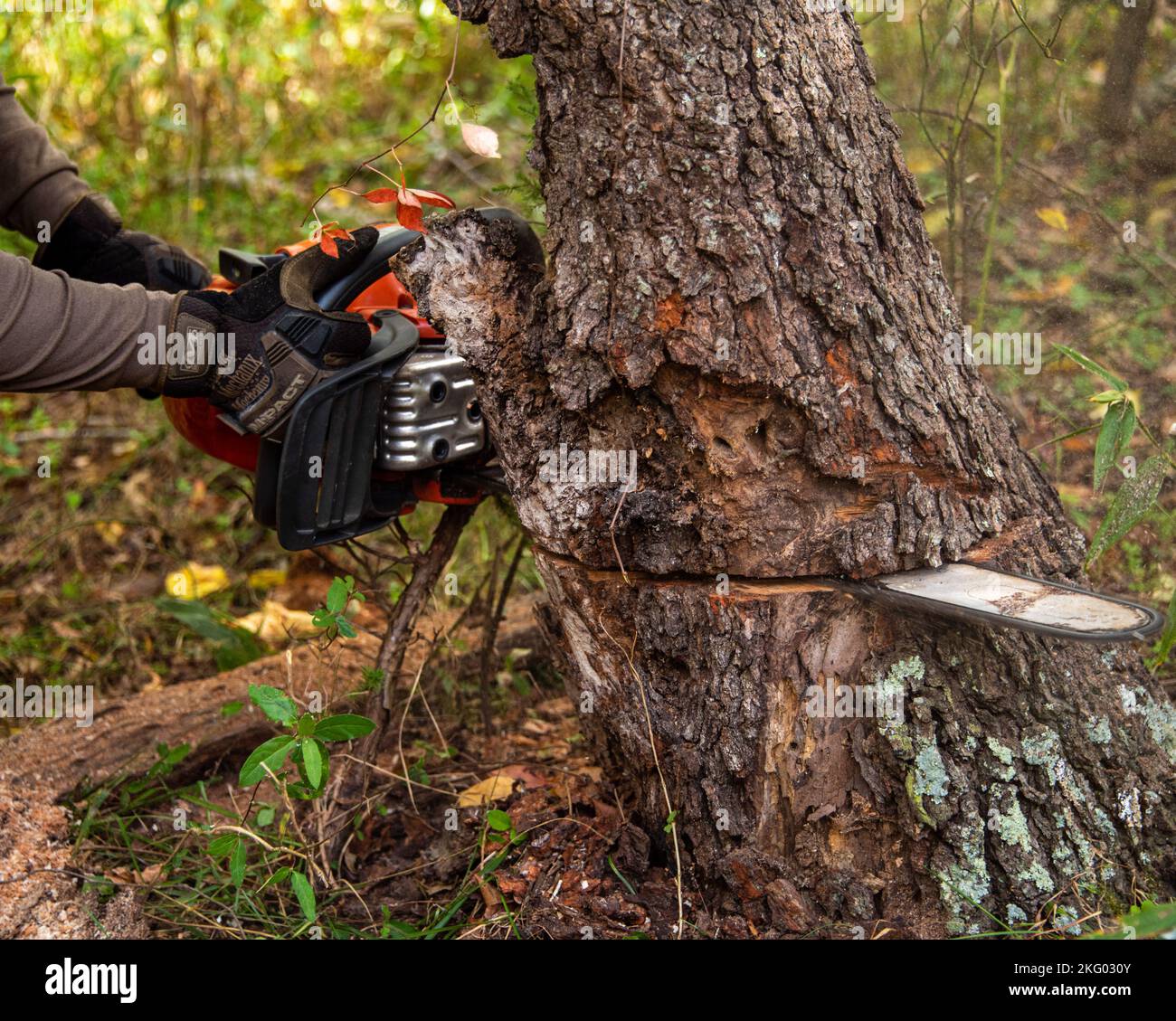 An Airman from the 166th Airlift Wing Civil Engineer Squadron trains ...