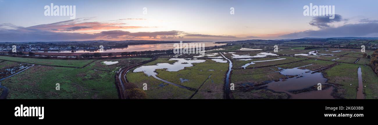 Rspb exminster hi-res stock photography and images - Alamy