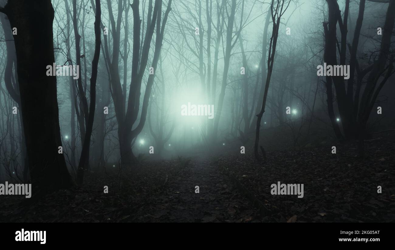 Magical, mysterious glowing orbs of light. Floating in a mystical ...