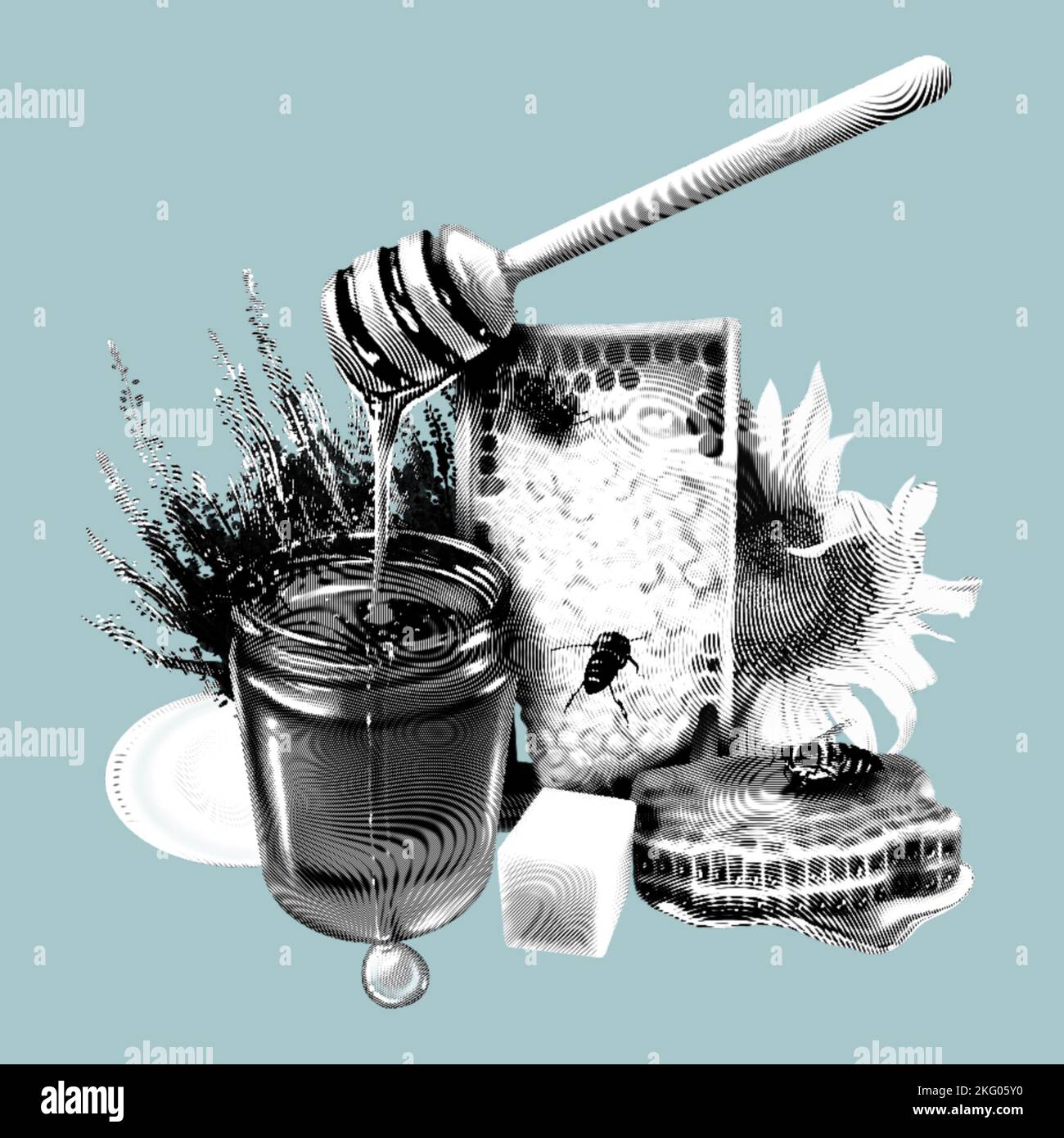 honey composition. graphic engraving realistic illustration of honey ...