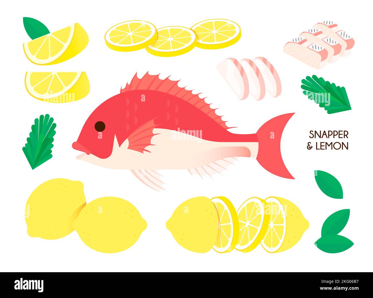 Vector snapper hi-res stock photography and images - Alamy