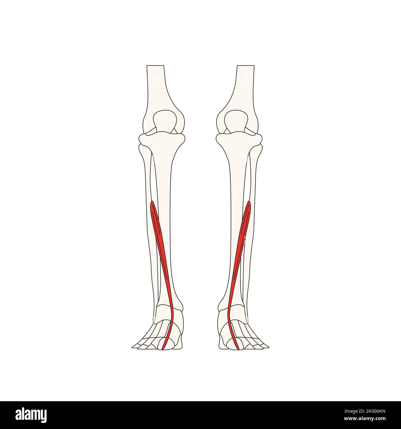 Profundus hi-res stock photography and images - Alamy