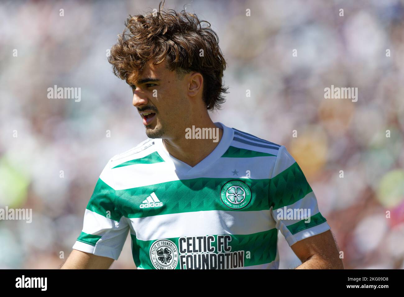 Sydney, Australia. 20th Nov, 2022. SYDNEY, AUSTRALIA - NOVEMBER 20 ...