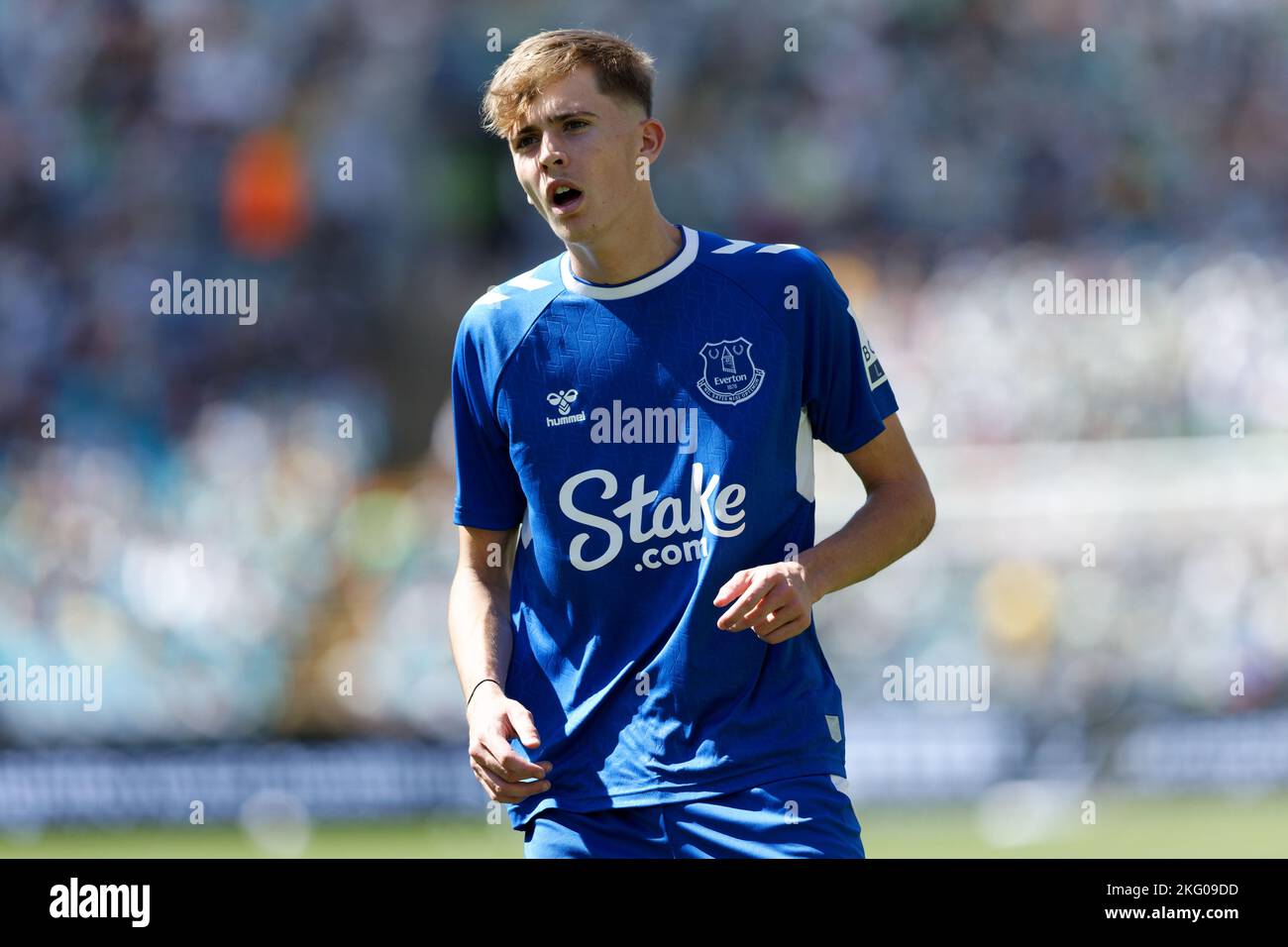 Sydney, Australia. 20th Nov, 2022. SYDNEY, AUSTRALIA - NOVEMBER 20 ...