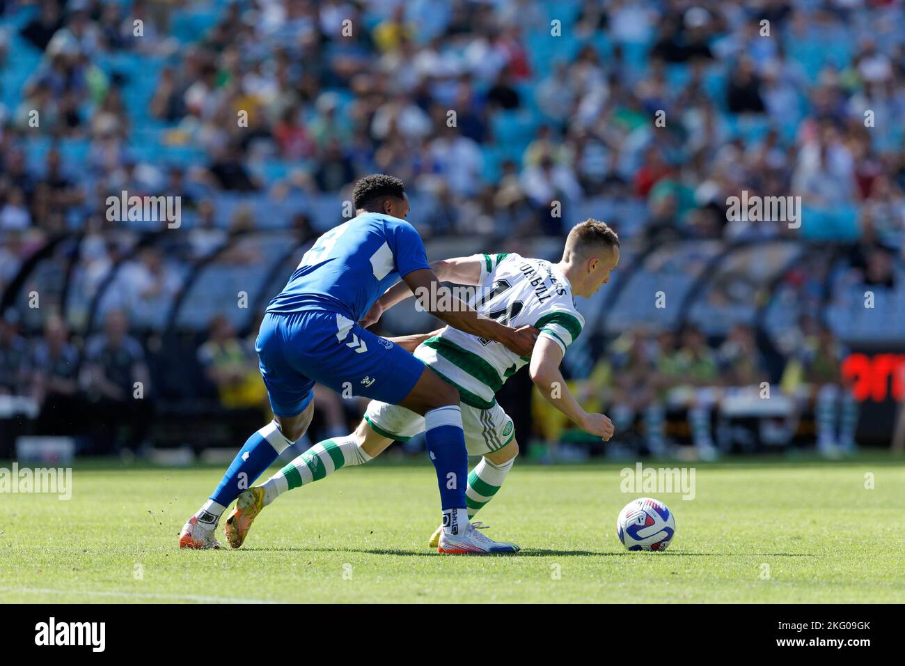 David turnbull celtic hi-res stock photography and images - Alamy