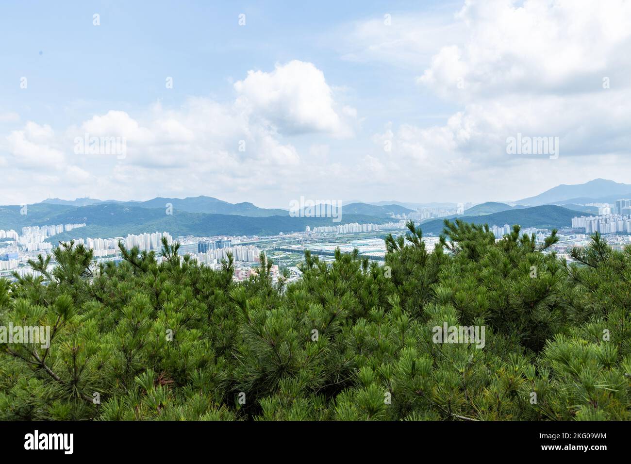 korean young women hiking and plogging mountain landscape Stock Photo ...