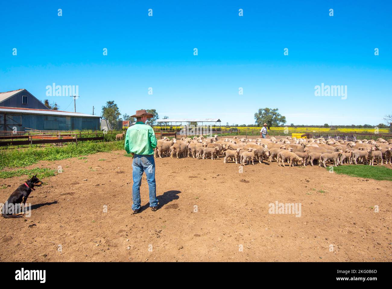 Father and son team Richard and Sam Marshall (foreground) use their ...