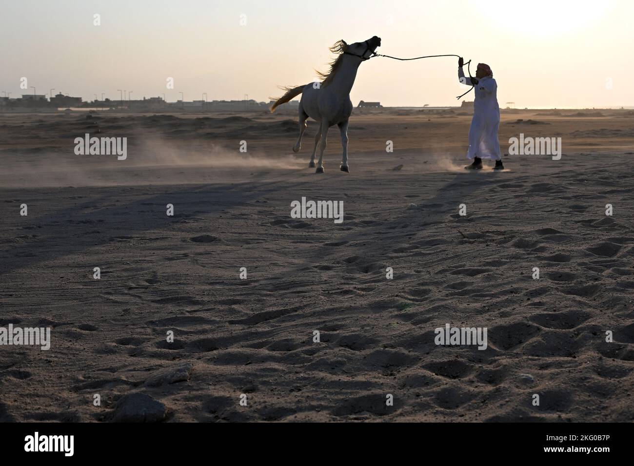 Al Ruwais, Qatar. 20th Nov, 2022. Qatari Marwan Sameh leads an Arabian ...