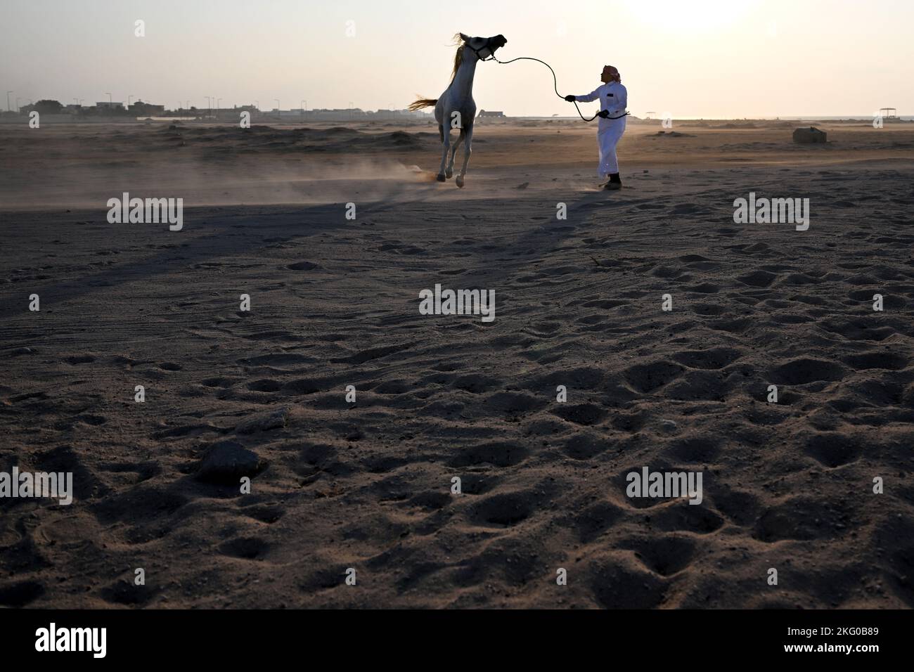 Al Ruwais, Qatar. 20th Nov, 2022. Qatari Marwan Sameh leads an Arabian ...