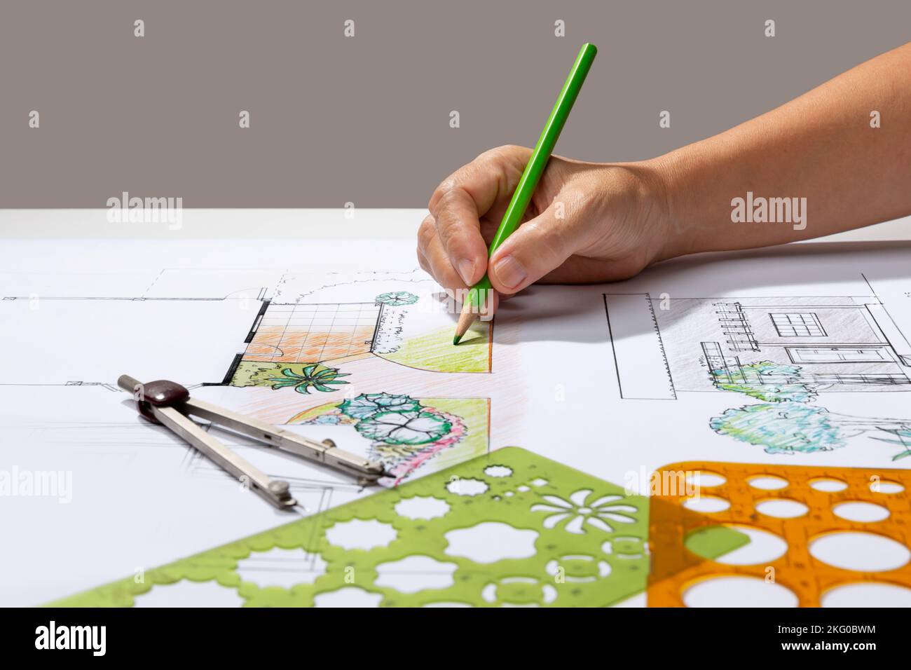 Landscape architect student learning garden plan design Stock Photo - Alamy