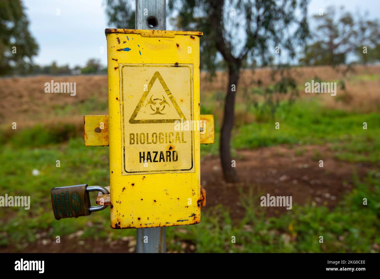Sharps container australia hi-res stock photography and images - Alamy