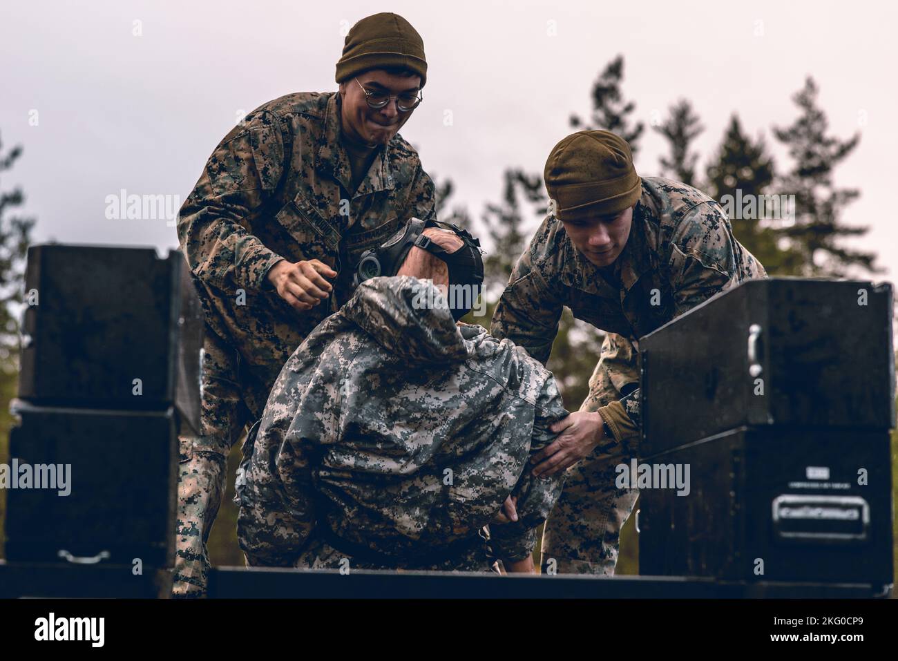 Mane support hi-res stock photography and images - Alamy