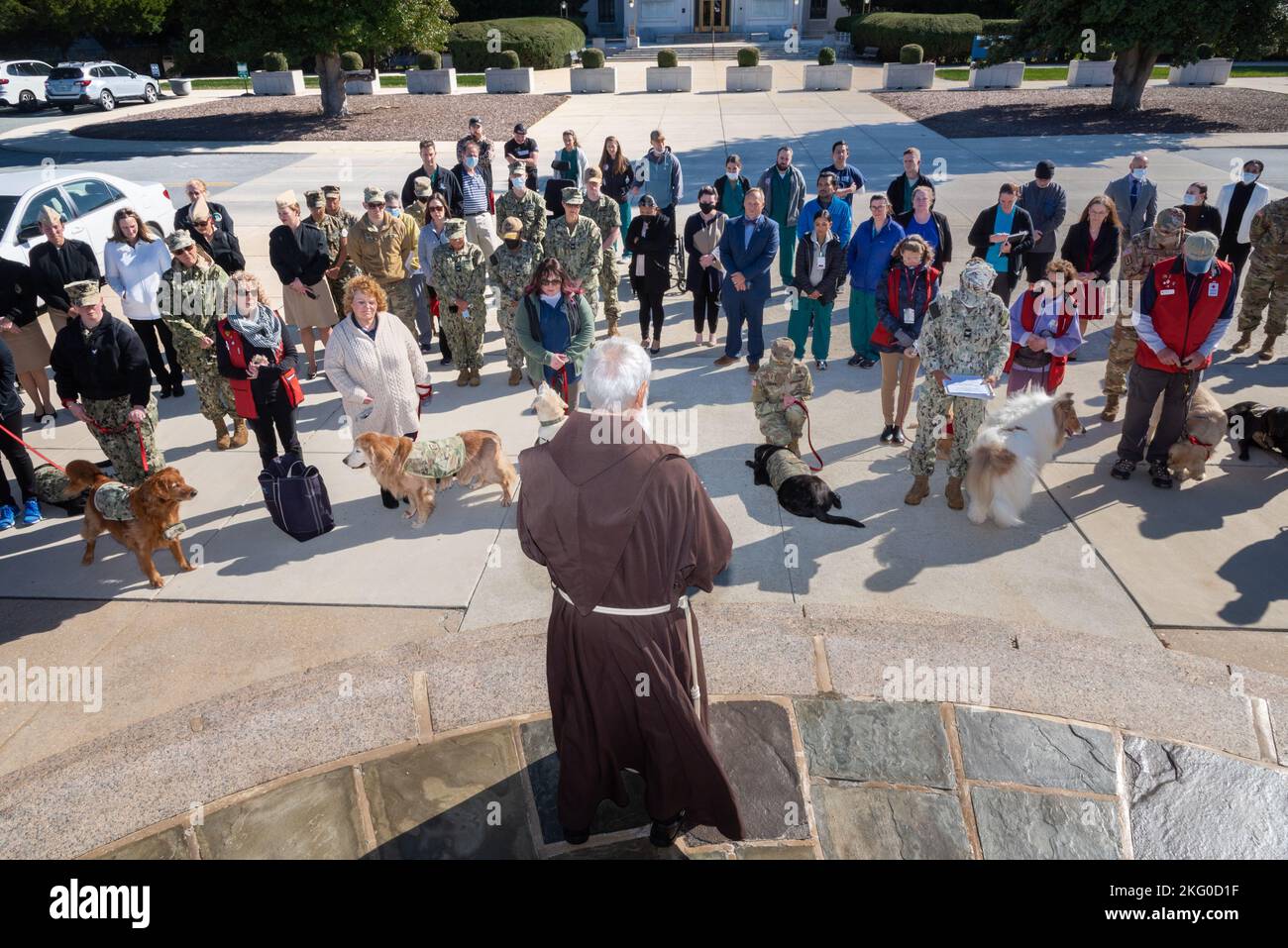 The Walter Reed Facility Dogs along with the Red Cross Volunteer and ...