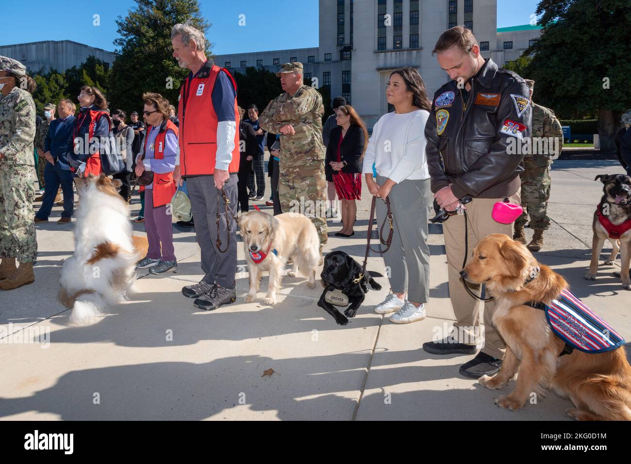 Walter Reed National Military Medical Center’s facility dogs along with ...