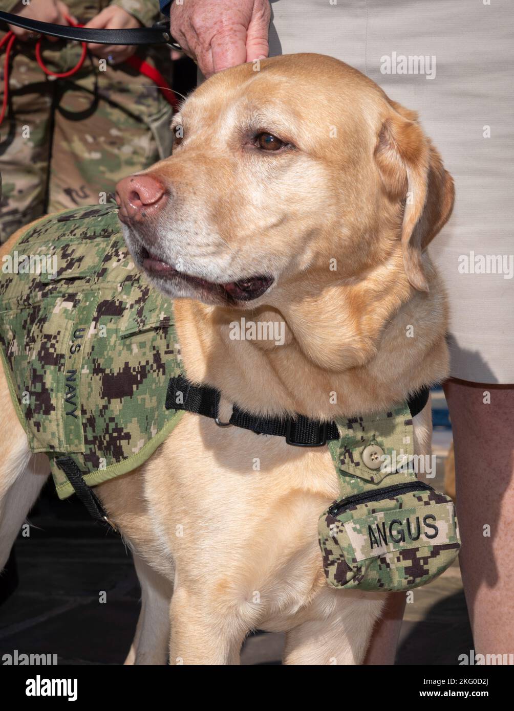 A promotion and commissioning ceremony for the Facility Dog Program at ...