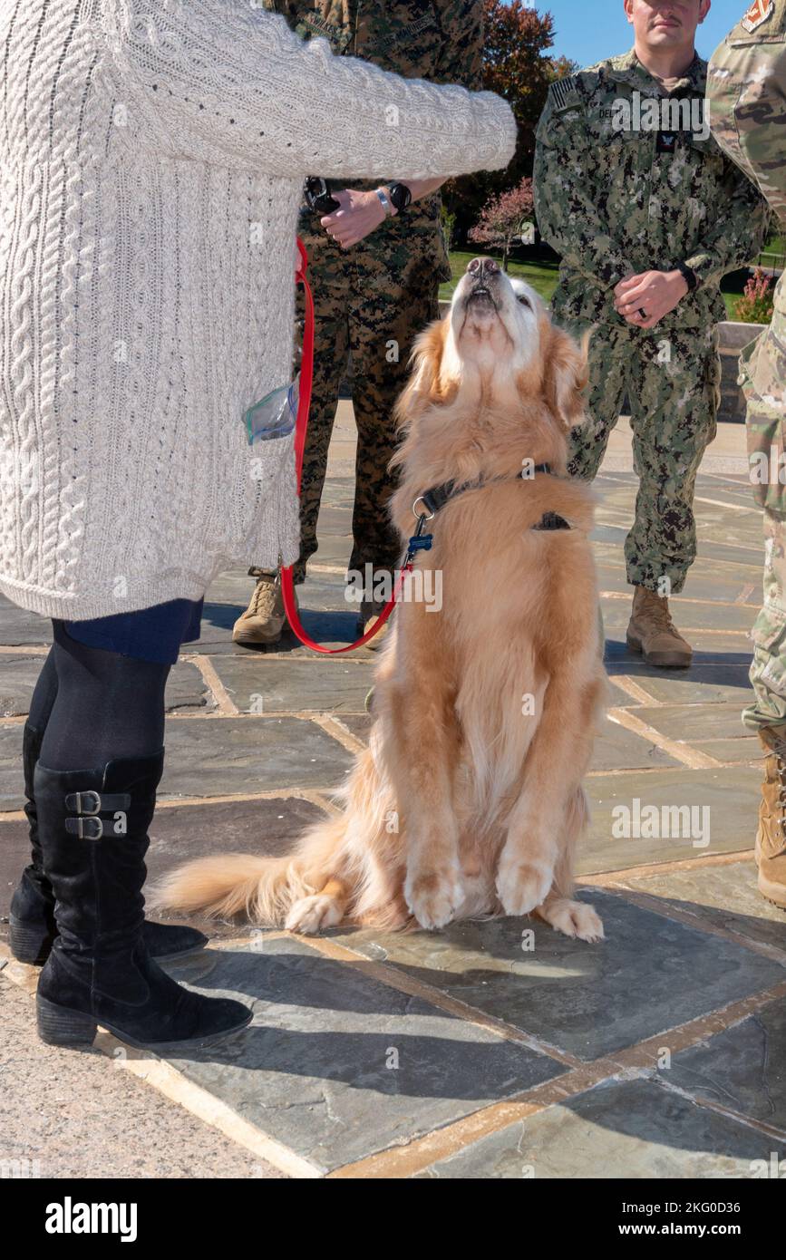 Navy nurse officer corps hi-res stock photography and images - Alamy