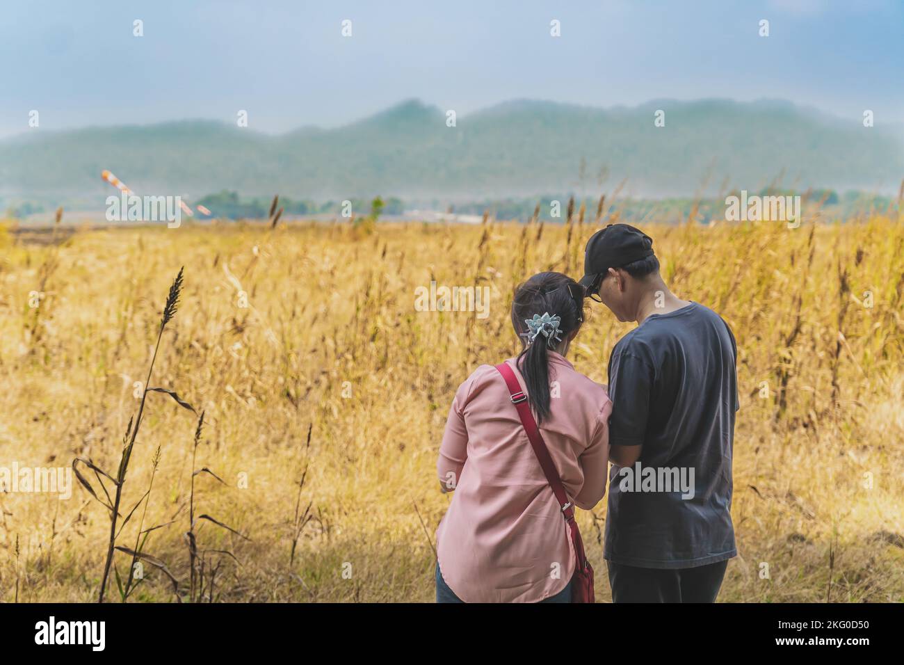 Back view of Asian couple farmers using mobile phone for farming in ...