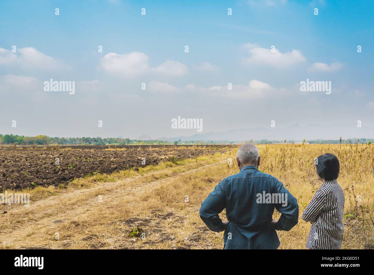 Back view of elderly couple farmers discuss soil quality for farming in ...