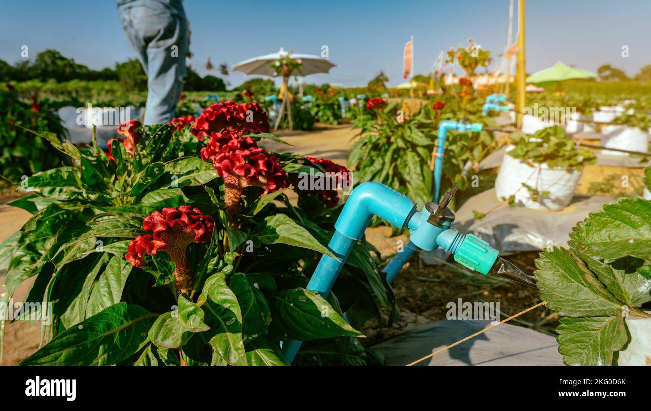 Irrigation duct flowing water hi-res stock photography and images - Alamy