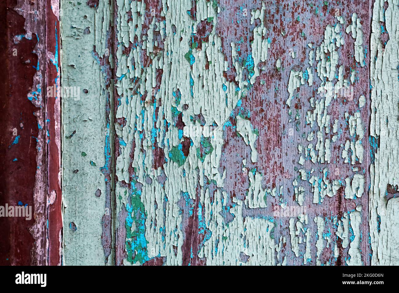 Colorful craquelure of the delaminated paint on wooden door background ...