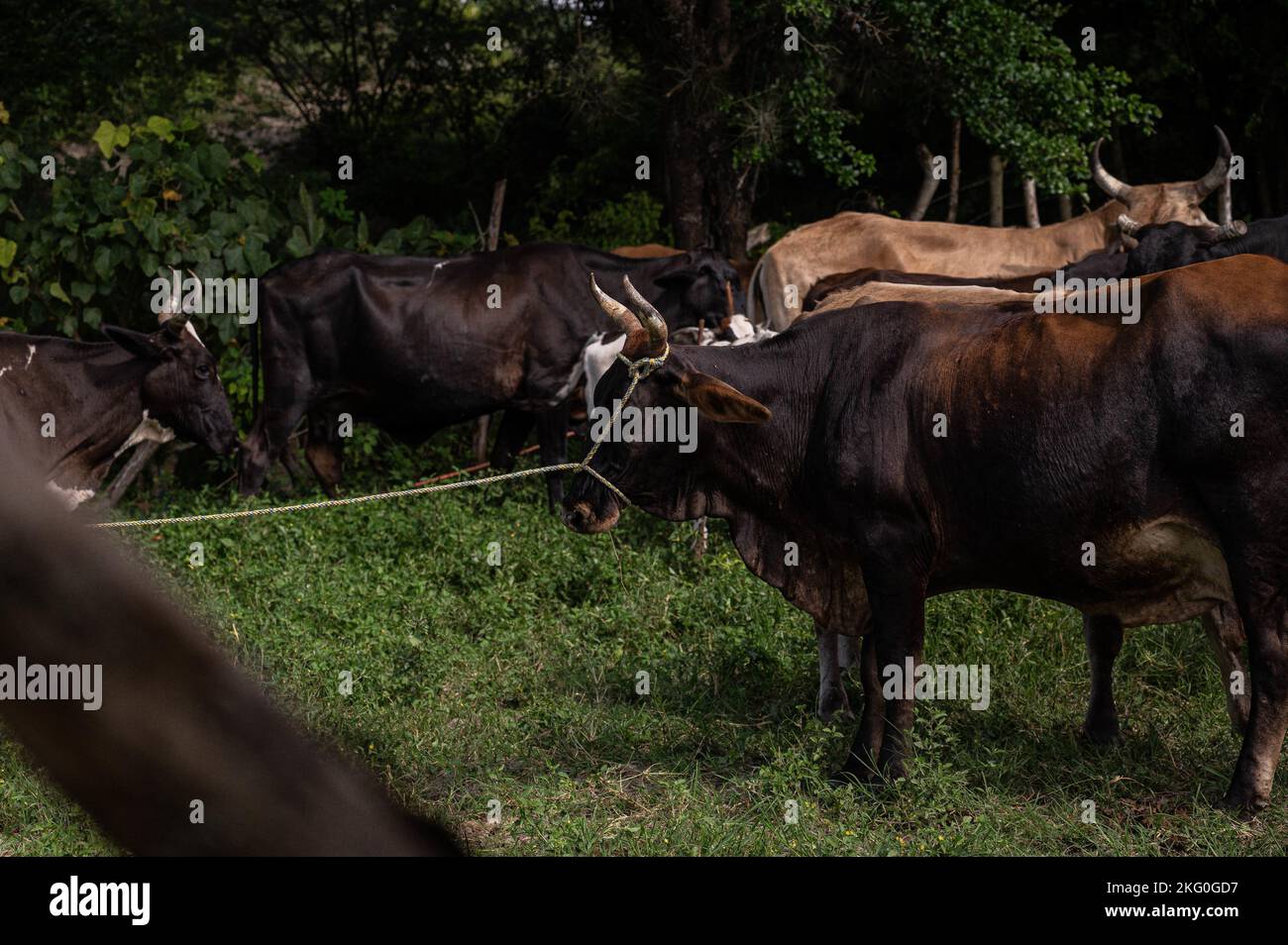 Joint Task Force-Bravo worked side-by-side with the locals to aid and ...