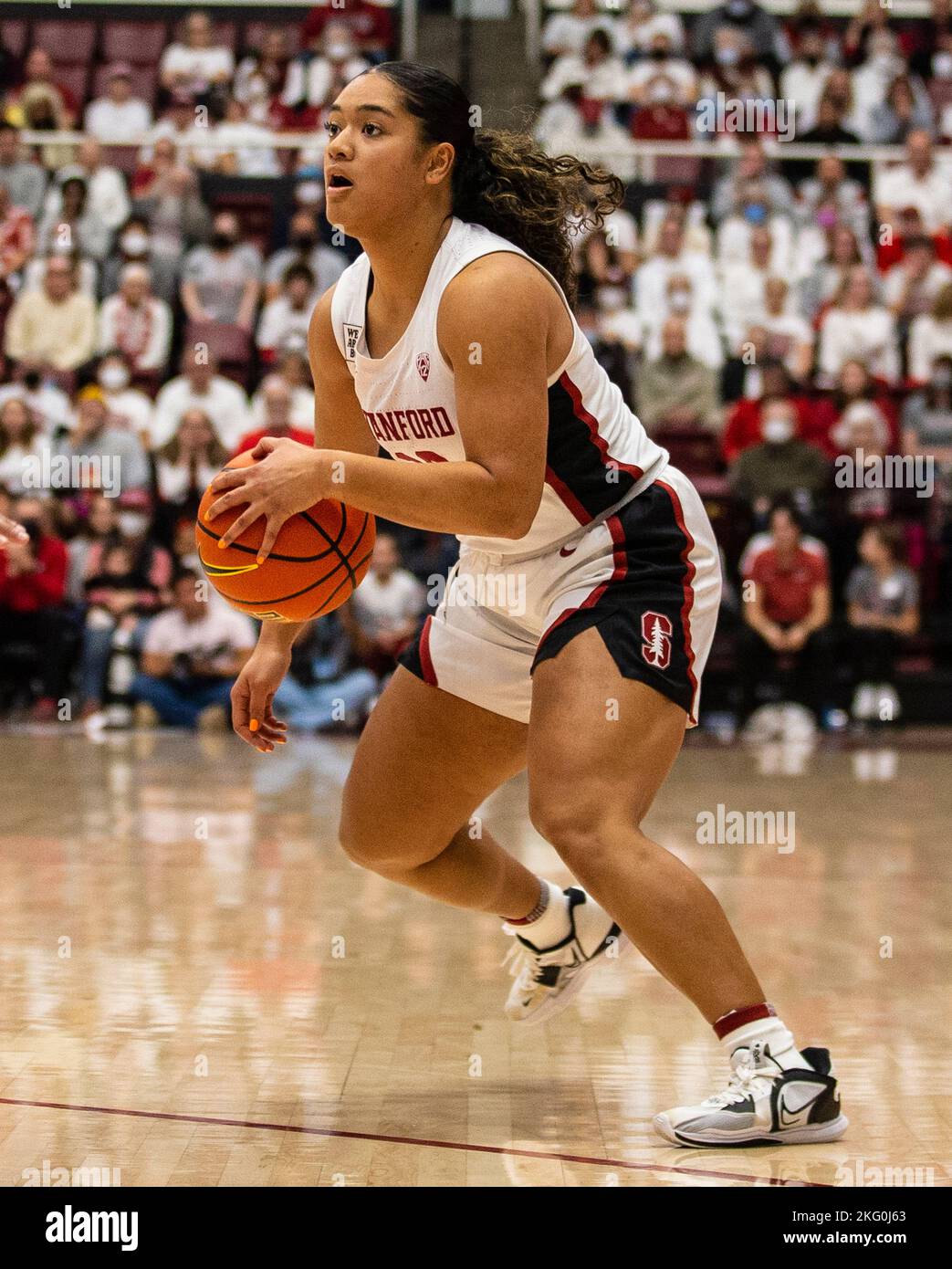 Lepolo hi-res stock photography and images - Alamy